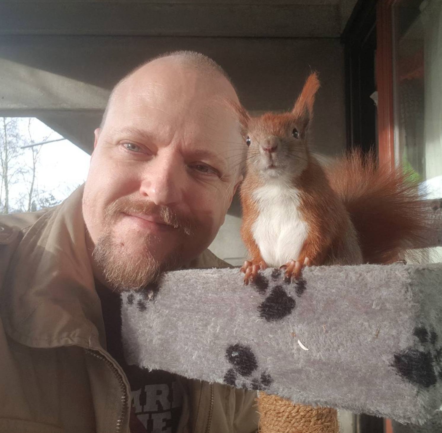 Instagram’s Most Famous Red Squirrel